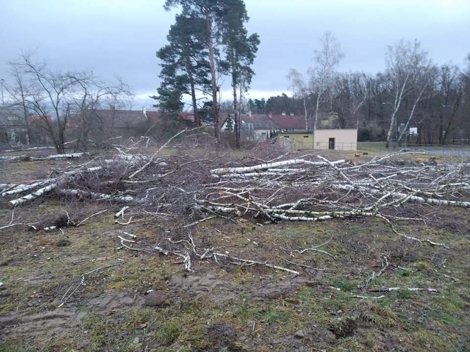 Otevřený dopis Radě města Dubňany - Pirátská strana | JIHOMORAVSKY KRAJ ...